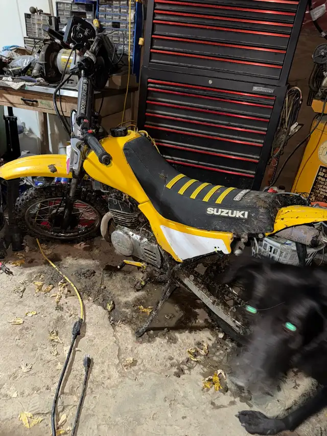 1989 Suzuki ds80 | Dirt Bikes & Motocross | Chatham-Kent | Free local ...