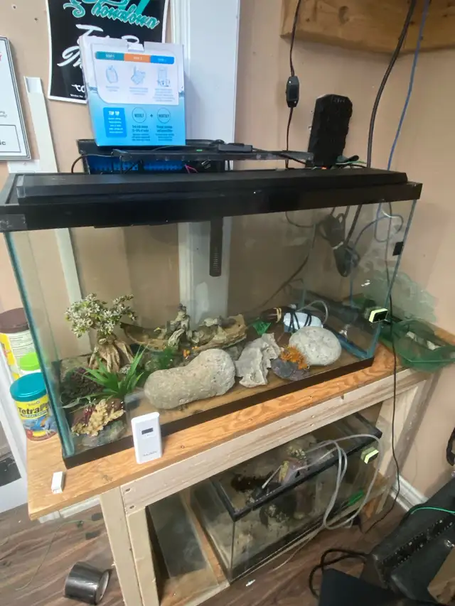 30 gallon aquarium FULL SET UP | Accessories | Oakville / Halton Region ...