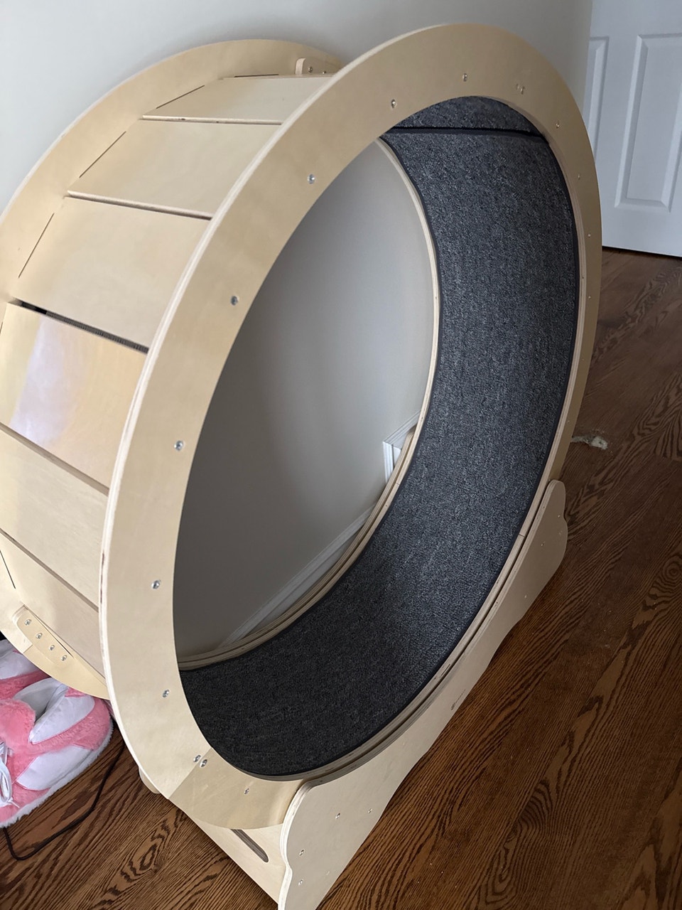 Cat Exercise Wheel | Accessories | City of Toronto | Free local ...