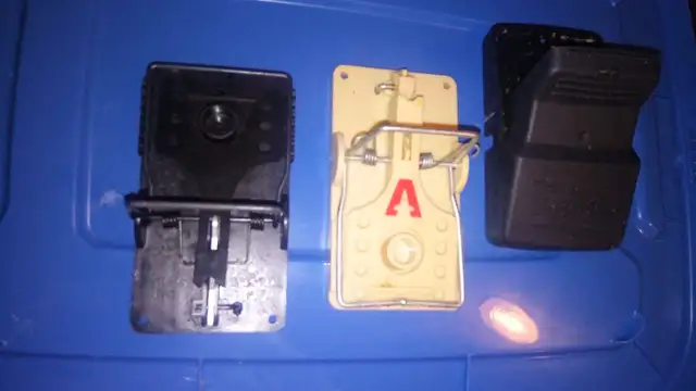 DAVID'S PEST CONTROL SERVICES | Long Term Rentals | Vancouver | Free ...