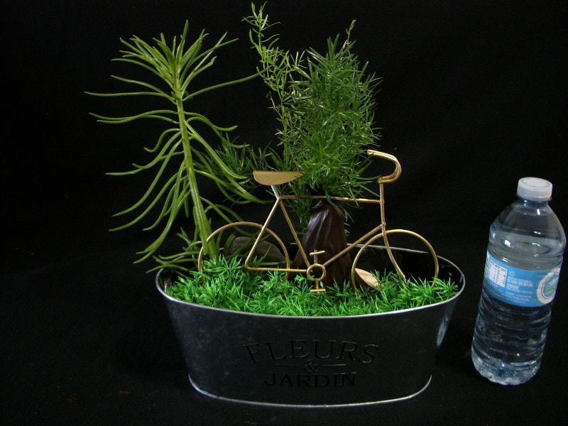 PRETTY BICYCLE PLANTS PLANTER | Home Décor & Accents | Red Deer | Free ...