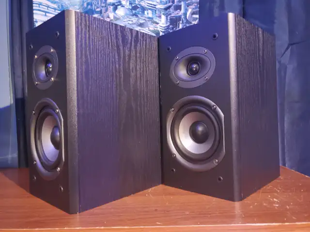 Enceinte 2 voies de type bookshelf qualité Lancaster modèle RX10 ...