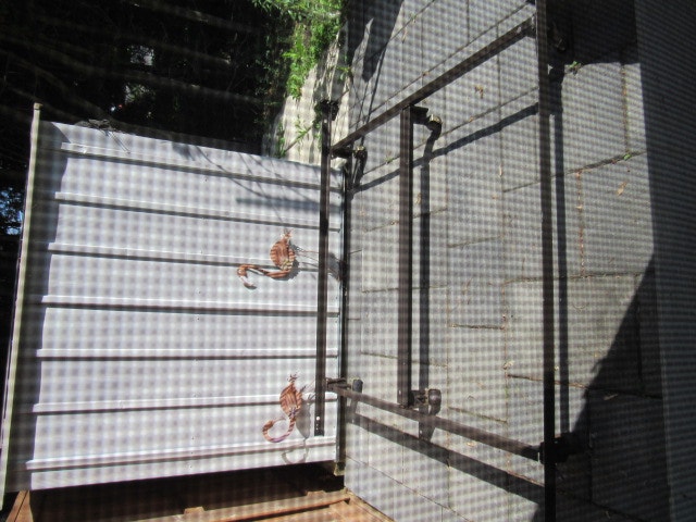 Adjustable single or double bed iron base frame With wheels | Beds ...