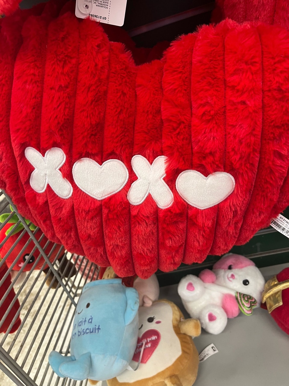 Valentine shichi babies | Dogs & Puppies for Rehoming | Laval / North ...