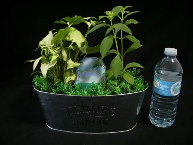 RAINBOW STONE PRETTY PLANT PLANTER | Home Décor & Accents | Red Deer ...