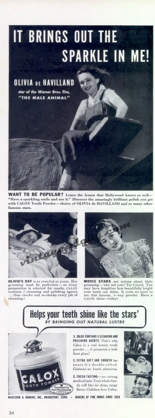 Calox Tooth Powder, 1942 Half-Page Ad, with Olivia de Havilland | Arts ...