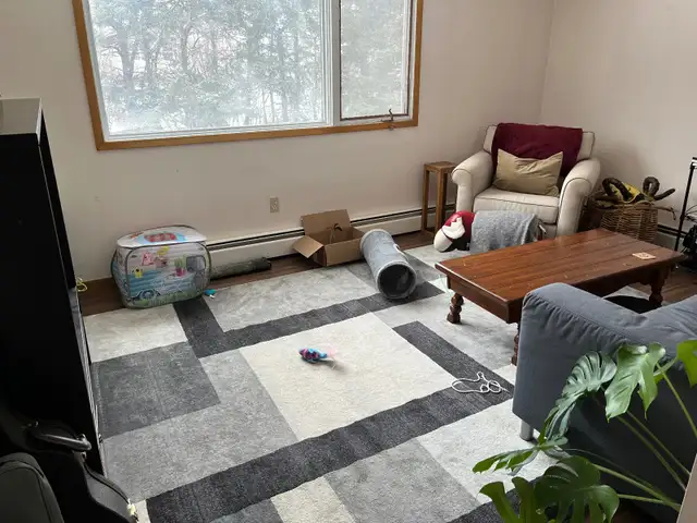 One Bedroom Apartment in Charlottetown | Long Term Rentals ...