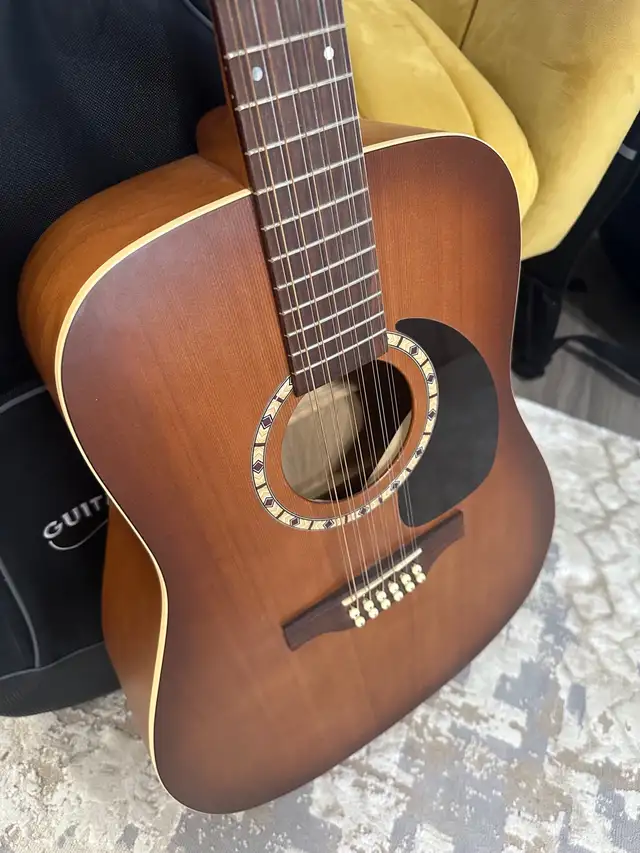 High-End Art & Lutherie 12-String Acoustic Guitar with bag | Guitars ...
