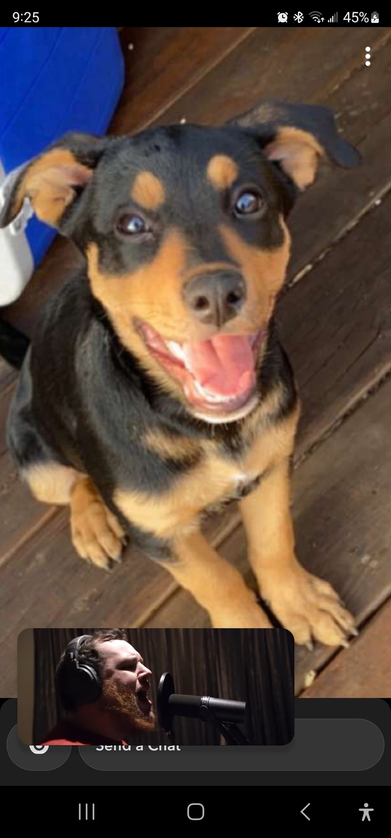 Rehome ti good home | Free Stuff | Saskatoon | Kijiji