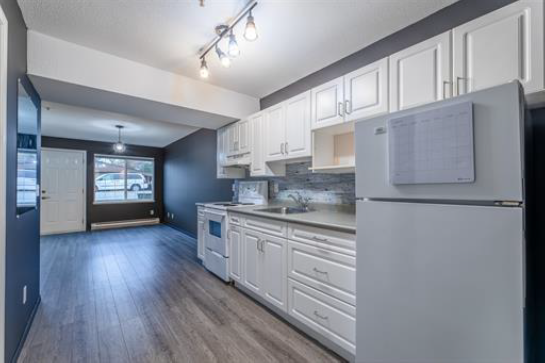 Cozy Bachelor Suite|All Utilities WiFi Included | Cat-Friendly | Long ...