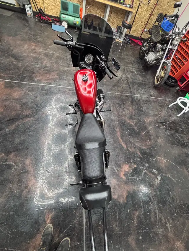 Harley Davidson Nightster | Street, Cruisers & Choppers | Calgary ...