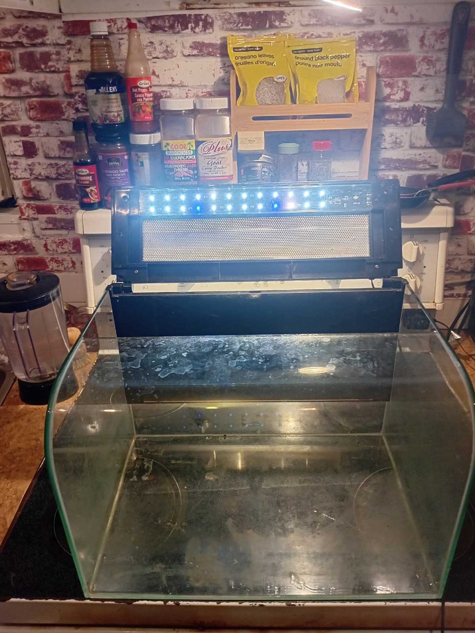 20 gallon terrarium | Accessories | City of Toronto | Free local ...