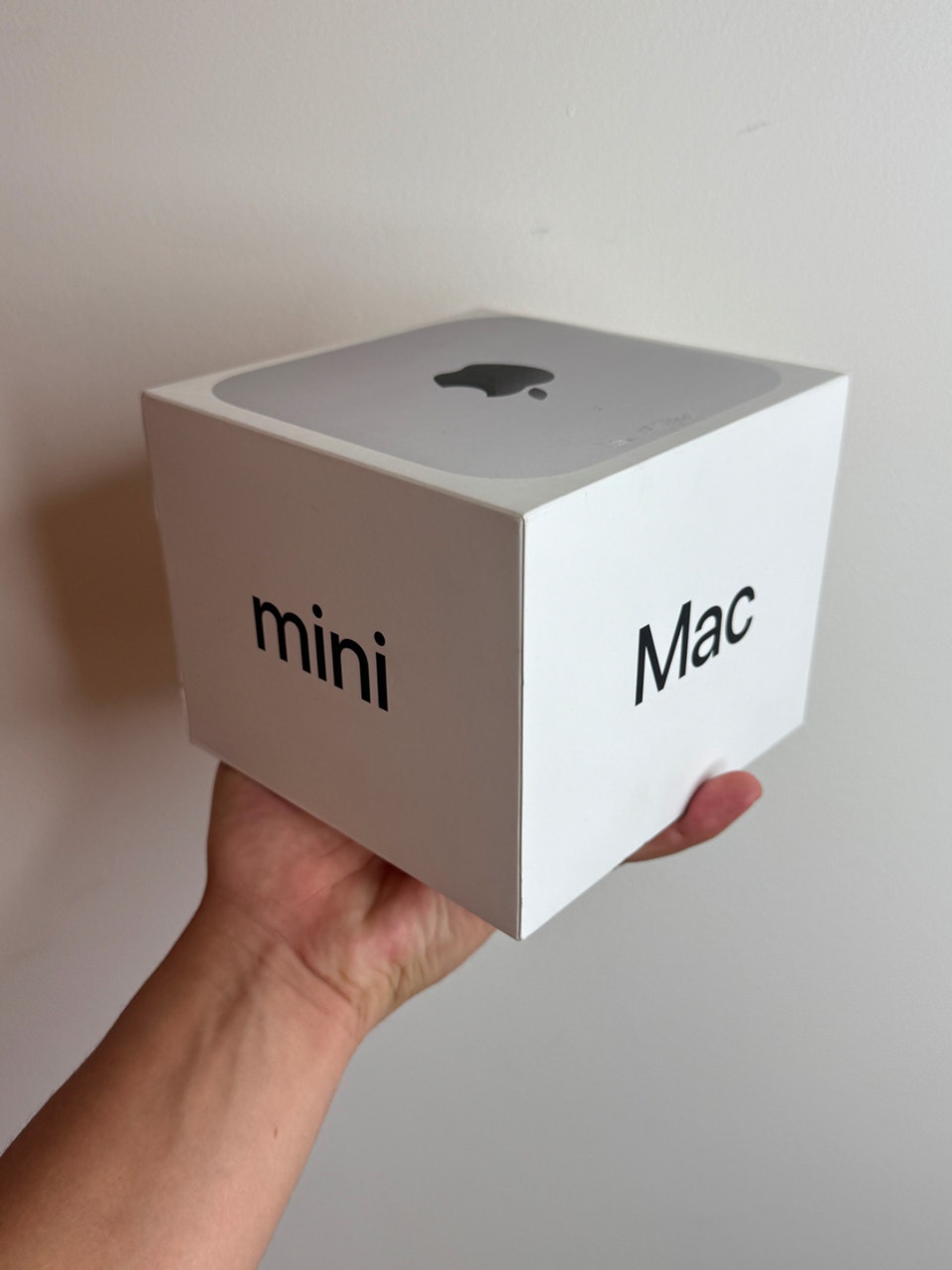 Mac Mini M4 – 16GB / 256GB – Nouveau Open Box | Desktop Computers ...