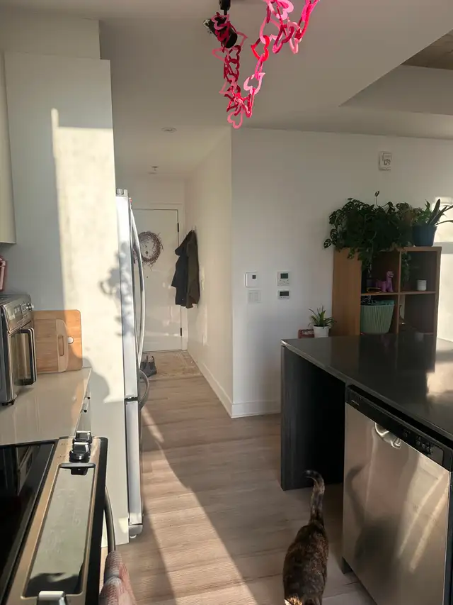 3½ ACCEPTANT LES ANIMAUX | Centre-ville Montréal | Long Term Rentals ...