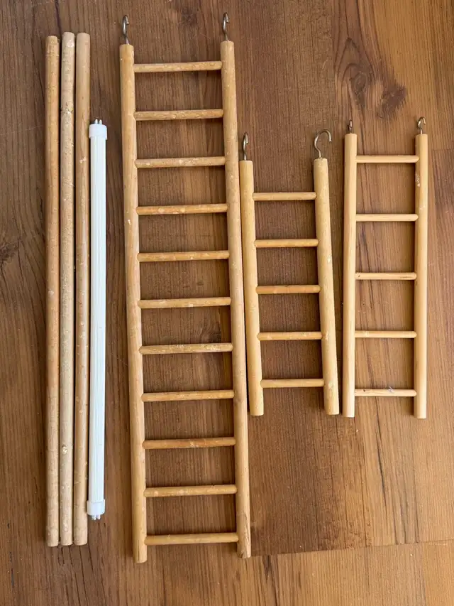 Bird Cage accessories | Accessories | Woodstock | Free local ...