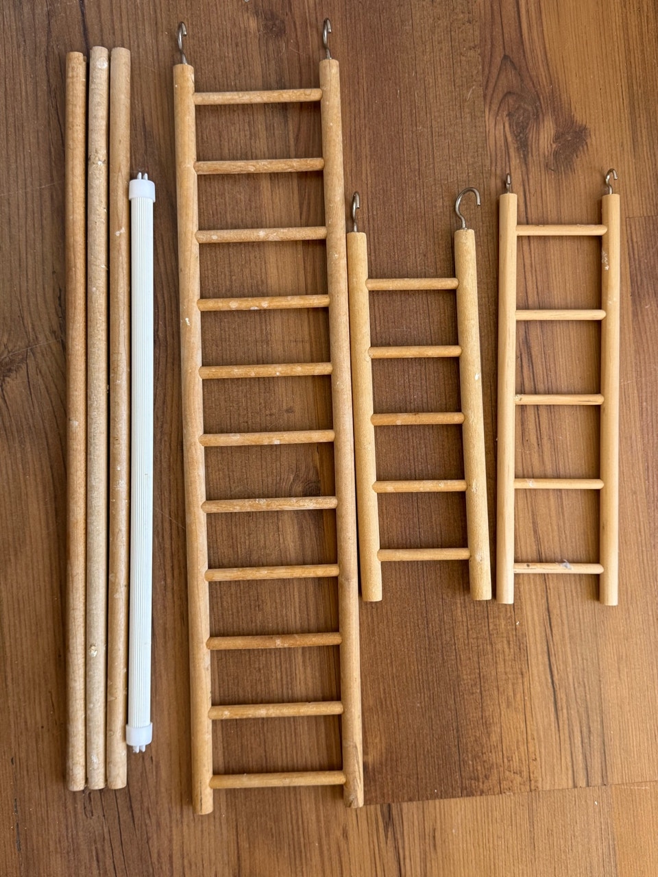 Bird Cage accessories | Accessories | Woodstock | Free local ...