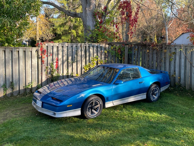 Fire bird Trams Am | Classic Cars | Owen Sound | Kijiji