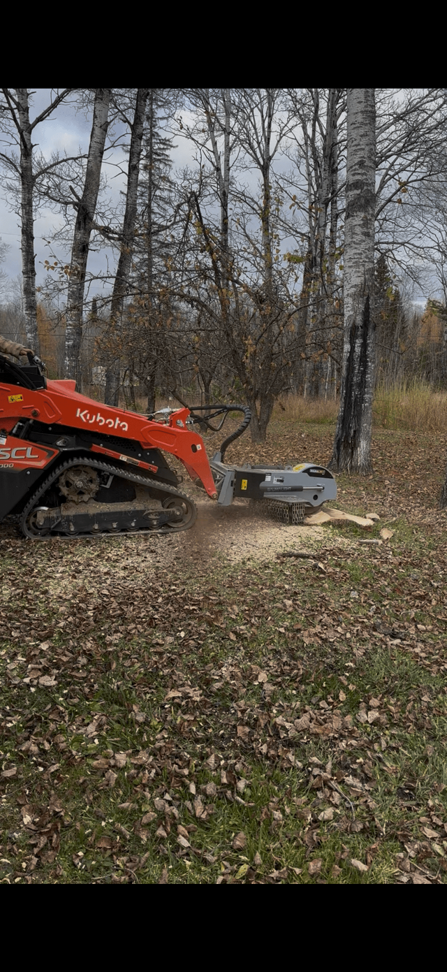 Stump Grinding and Tree Removal Services | Lawn, Tree Maintenance ...