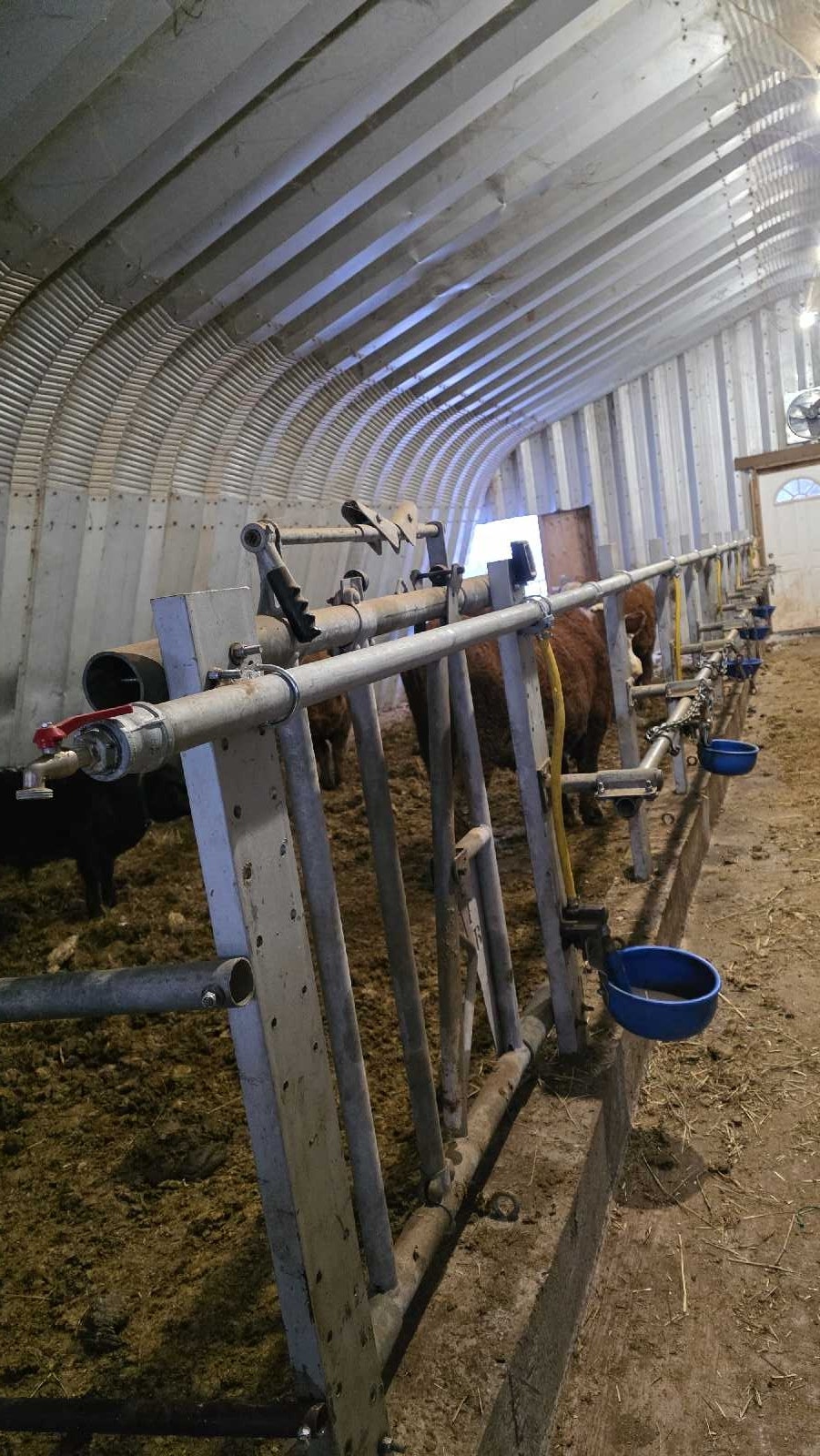 40 feet 1-1/2 inch water pipe including water bowl | Livestock ...