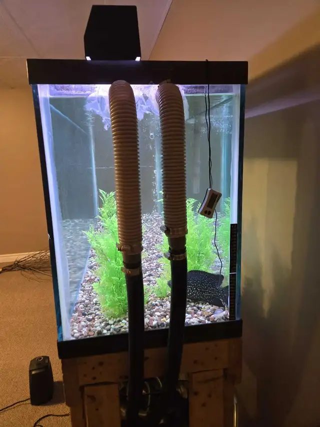 URGENT**** 150 gallon aquarium | Fish for Rehoming | Ottawa | Free ...