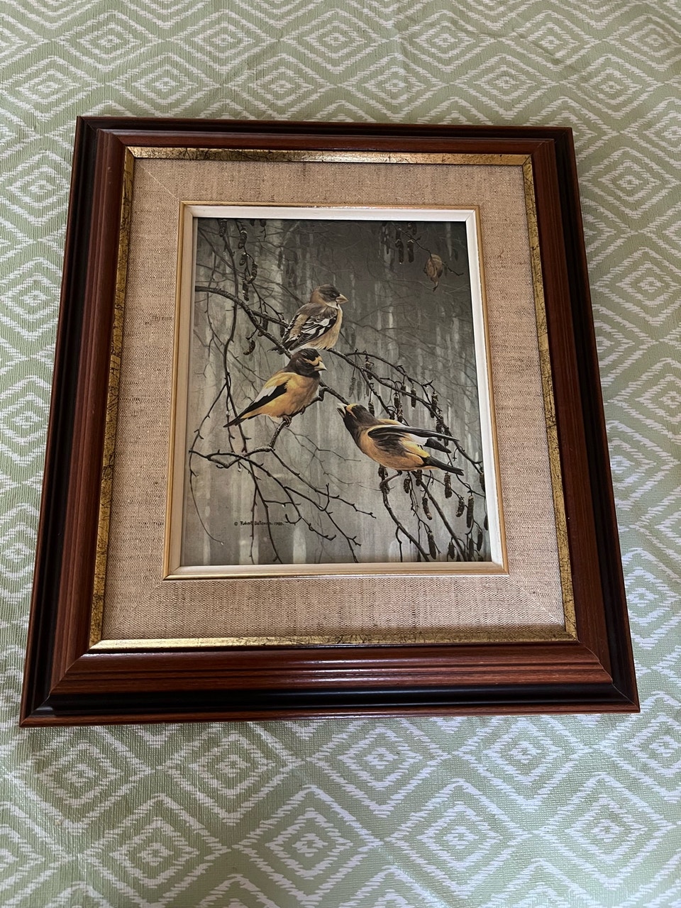 Robert Bateman 1980 Bird Picture | Arts & Collectibles | Hamilton ...
