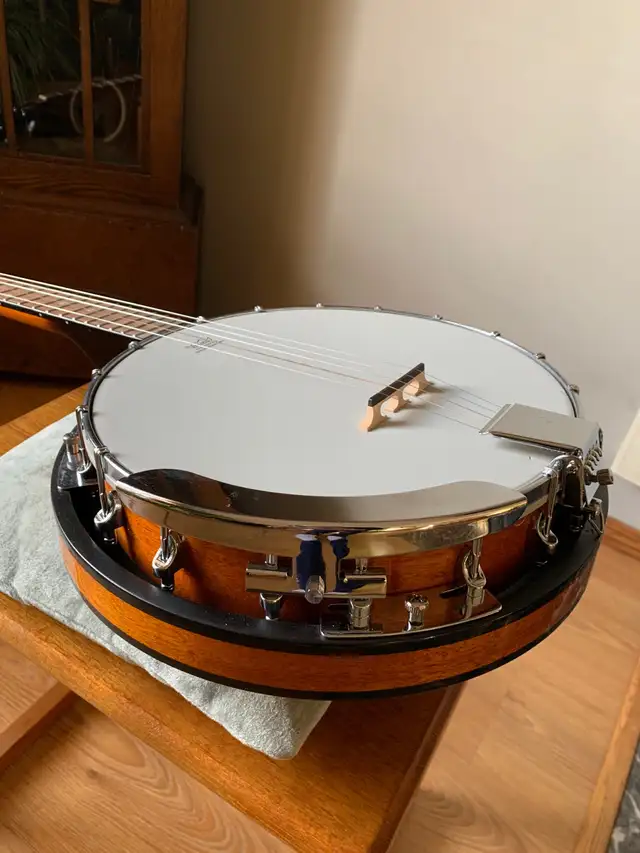 Fender 5 String Banjo | String | Calgary | Free local classifieds - Kijiji