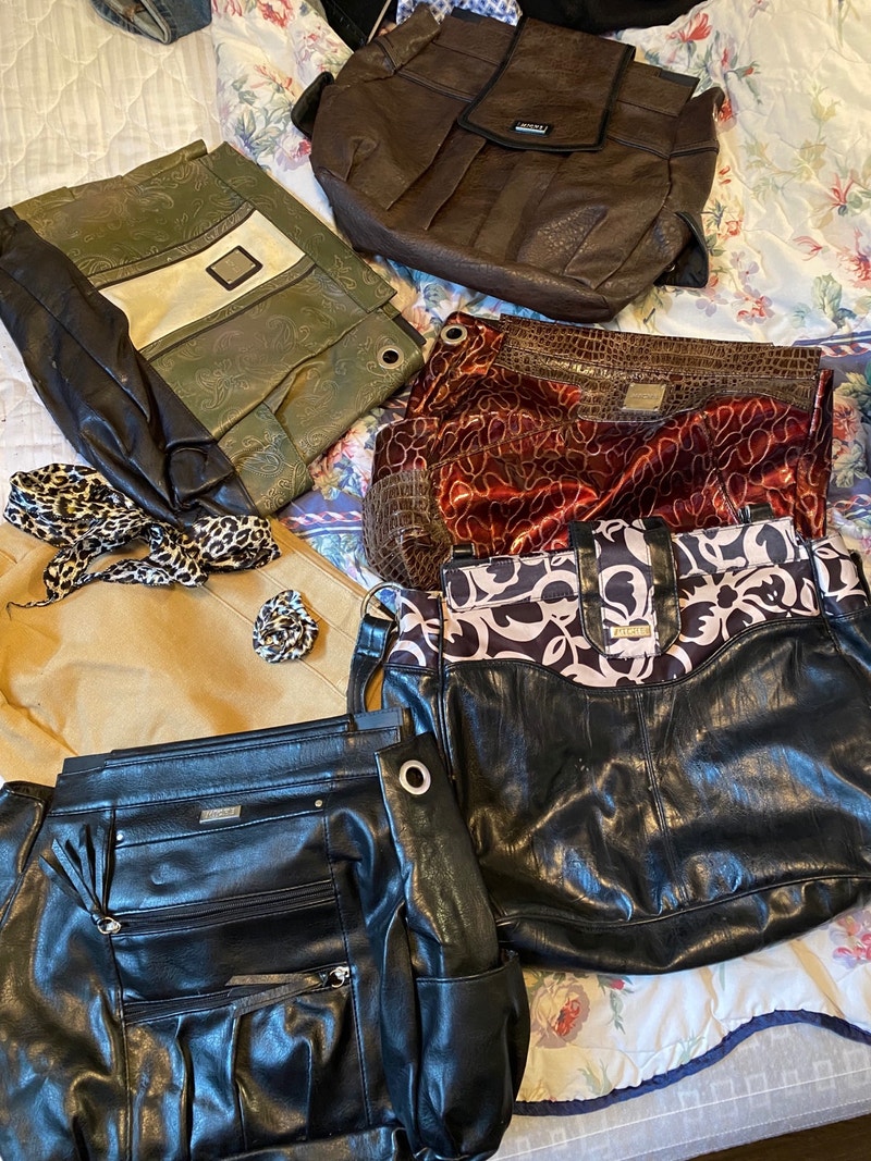 Miche purse | Women's - Bags & Wallets | Regina | Kijiji