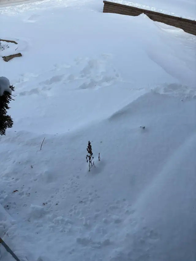 Snow Shoveling by Individual | Other | West Island | Free local ...