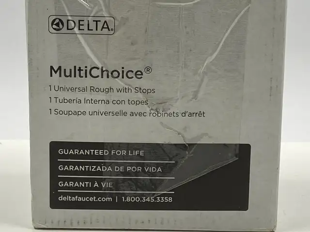 Delta R10000-UNWS Multichoice Universal Rough With Stops For Tub ...