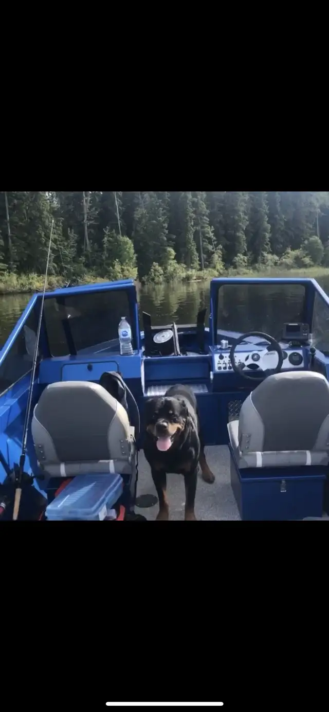 king fisher river boat | Powerboats & Motorboats | Grande Prairie ...
