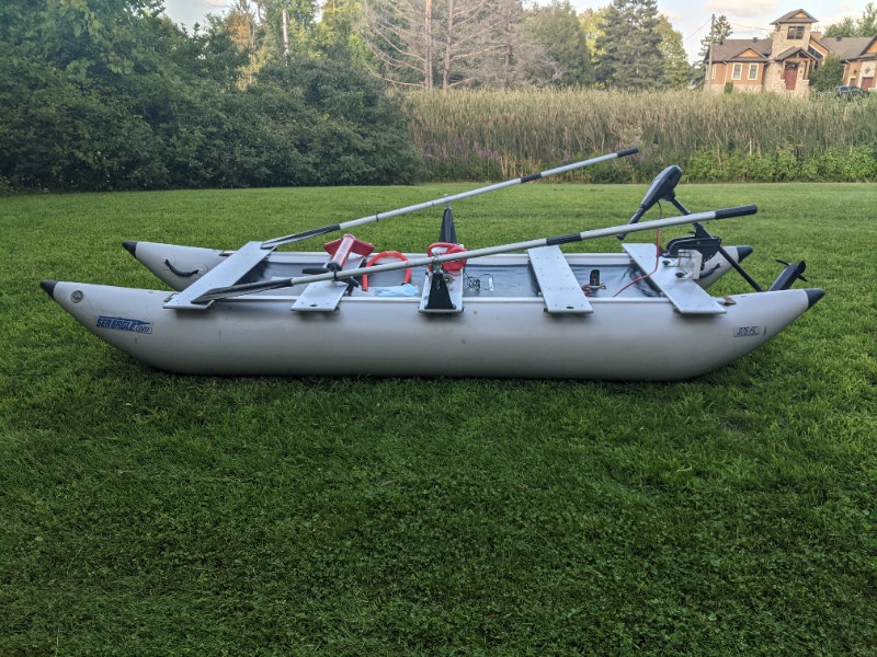 Sea Eagle Foldcat FC375 Inflatable Pontoon with 46lbs Motor | Canoes ...