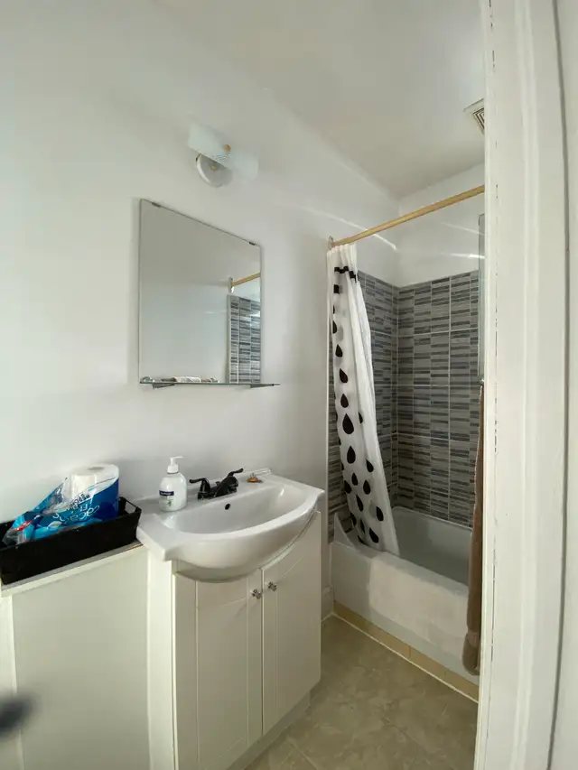 Dispo MAINTENANT - Superbe 3 ½ MEUBLÉ - Rosemont / Petite-Patrie | Long ...