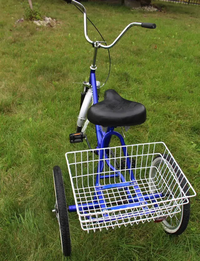 Adult Quality Folding Tricycle - Mantis TRI-Rad | Road | Mississauga ...