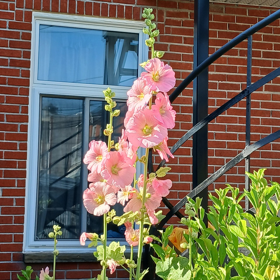 Big room, Metro Monk | Long Term Rentals | City of Montréal | Free ...