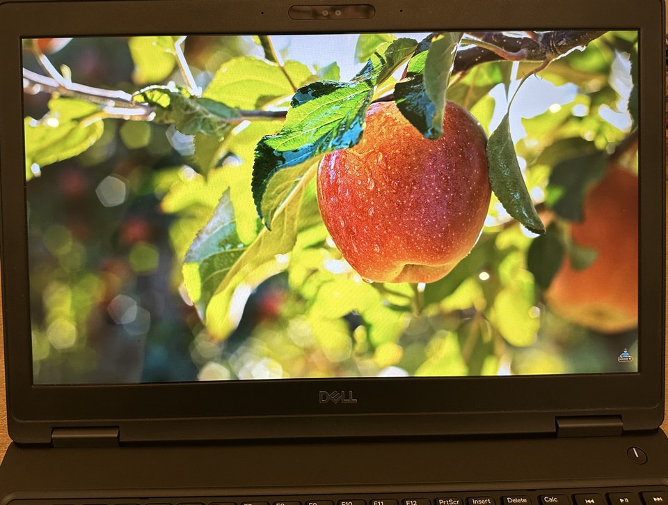 Dell Business Laptop Windows11 25H2 Touch Screen | Laptops | City of ...