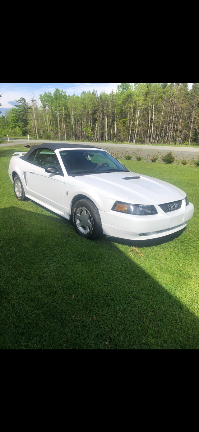 2001 Ford Mustang | Cars & Trucks | New Glasgow | Free local ...