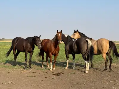 265 ads for part time in Jobs in Calgary | Kijiji Marketplaces