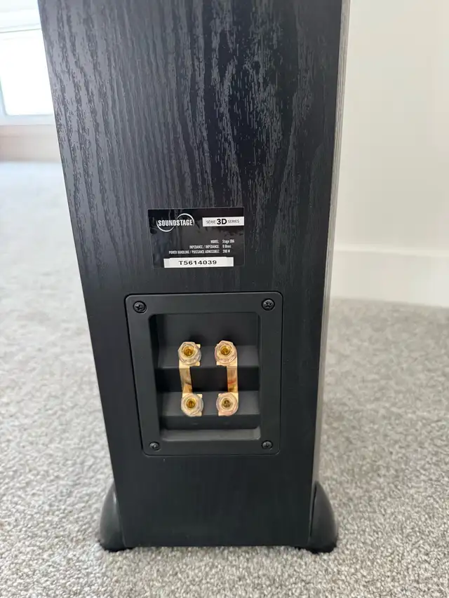 SOUNDSTAGE 3D6 tower speakers | Speakers | Winnipeg | Free local ...