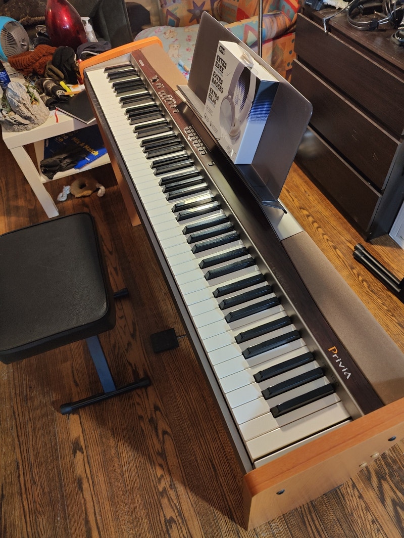 Casio Privia PX-100, 88 fully weighted keys digital piano | Pianos ...