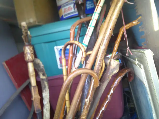 HAND MADE CANES- WALKING STICKS | Arts & Collectibles | Windsor Region ...