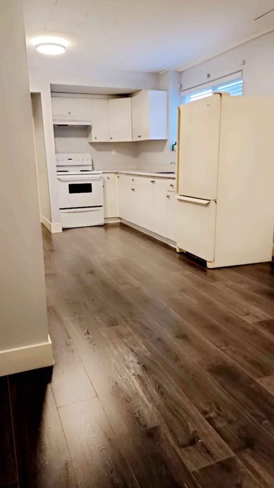 1 Bedroom Basement Suite for Rent | Long Term Rentals | Delta/Surrey ...