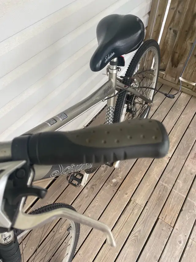adult hybrid cruiser bike | Cruiser, Commuter & Hybrid | Charlottetown ...