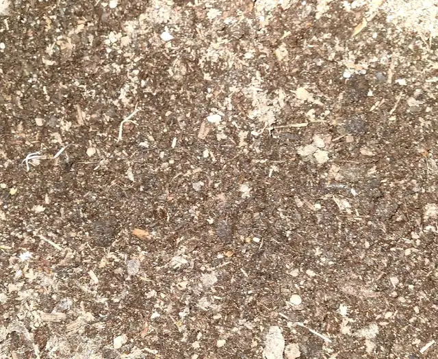 COMPOSTED HORSE MANURE — LUXURY POOP FOR CLASSY PLANTS | Plants ...