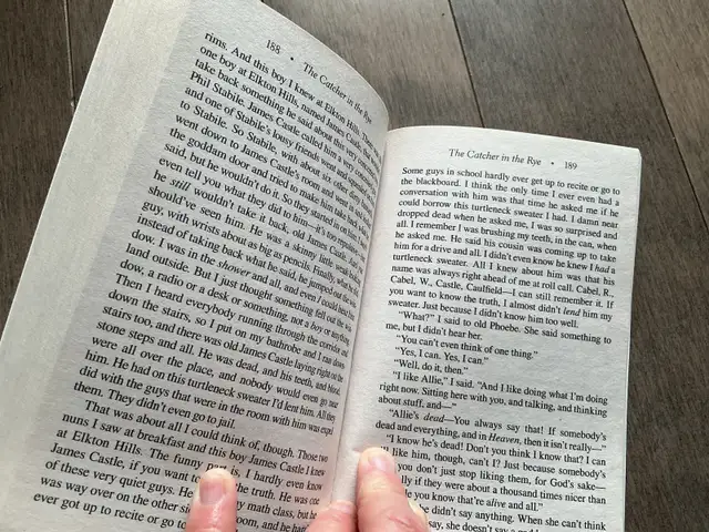 Book: The Catcher in the Rye (J. D. Salinger) | Fiction | Longueuil ...