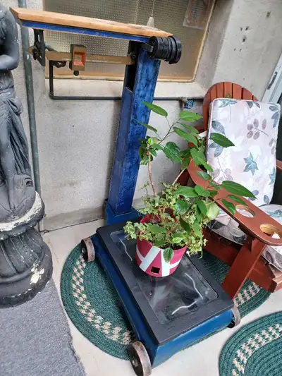 antique grain scales in All Categories in Ontario | Kijiji Marketplaces