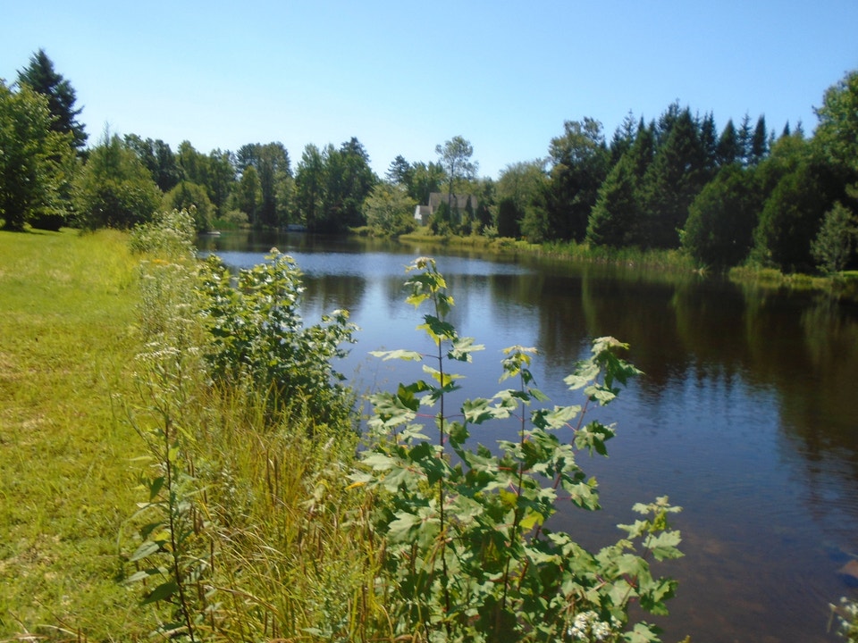 Terrain à vendre près de Québec | Land for Sale | Québec City | Free ...