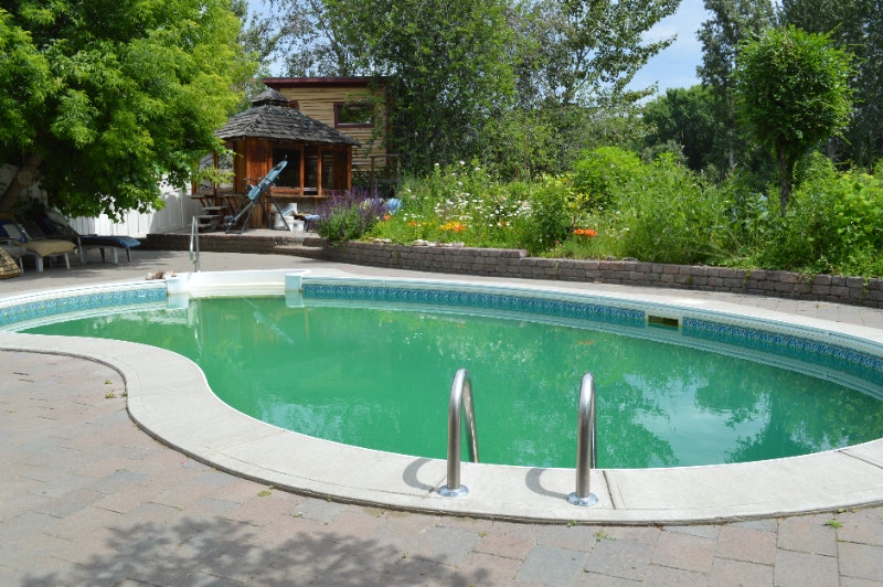 Eco King Treehouse / Cob Tiny Forest Escape on Wildlife Wetlands ...