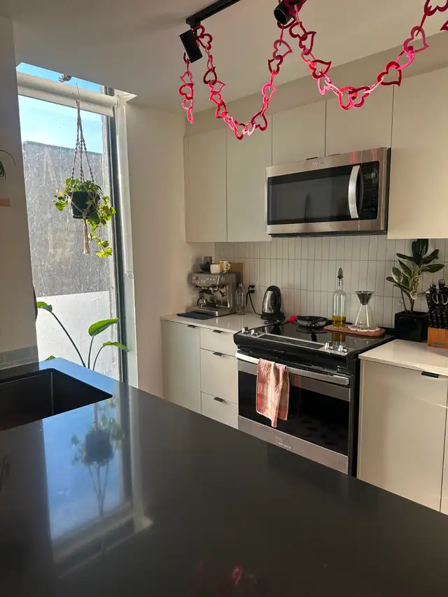 3½ ACCEPTANT LES ANIMAUX | Centre-ville Montréal | Long Term Rentals ...