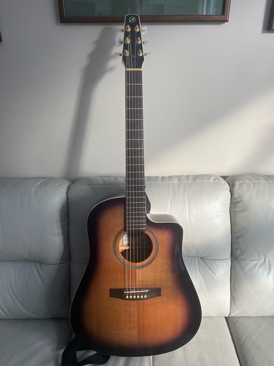 1996 Seagull Guitar with Fishman pickup | Guitars | Hamilton | Free ...