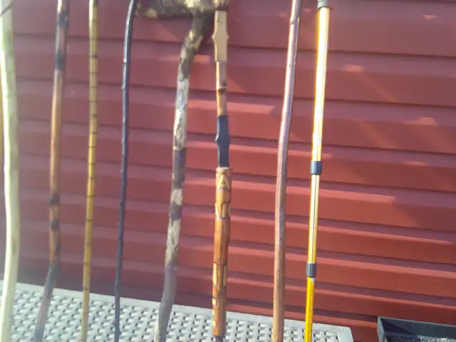 HAND MADE CANES- WALKING STICKS | Arts & Collectibles | Windsor Region ...